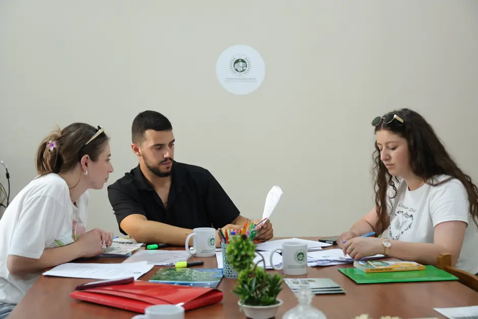 Bachelor Programmes - AUT